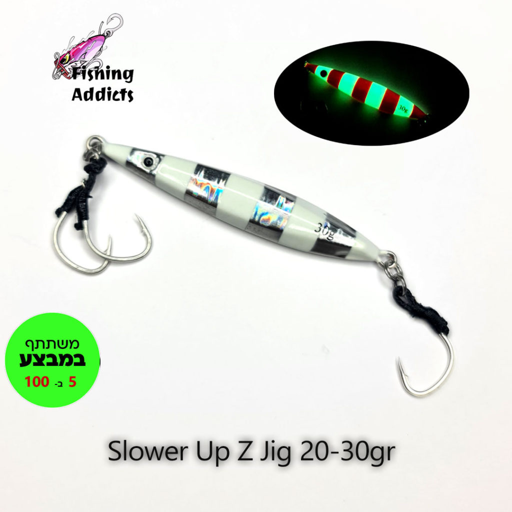 Slower Up Z Jig 20/30gr - fishing addicts