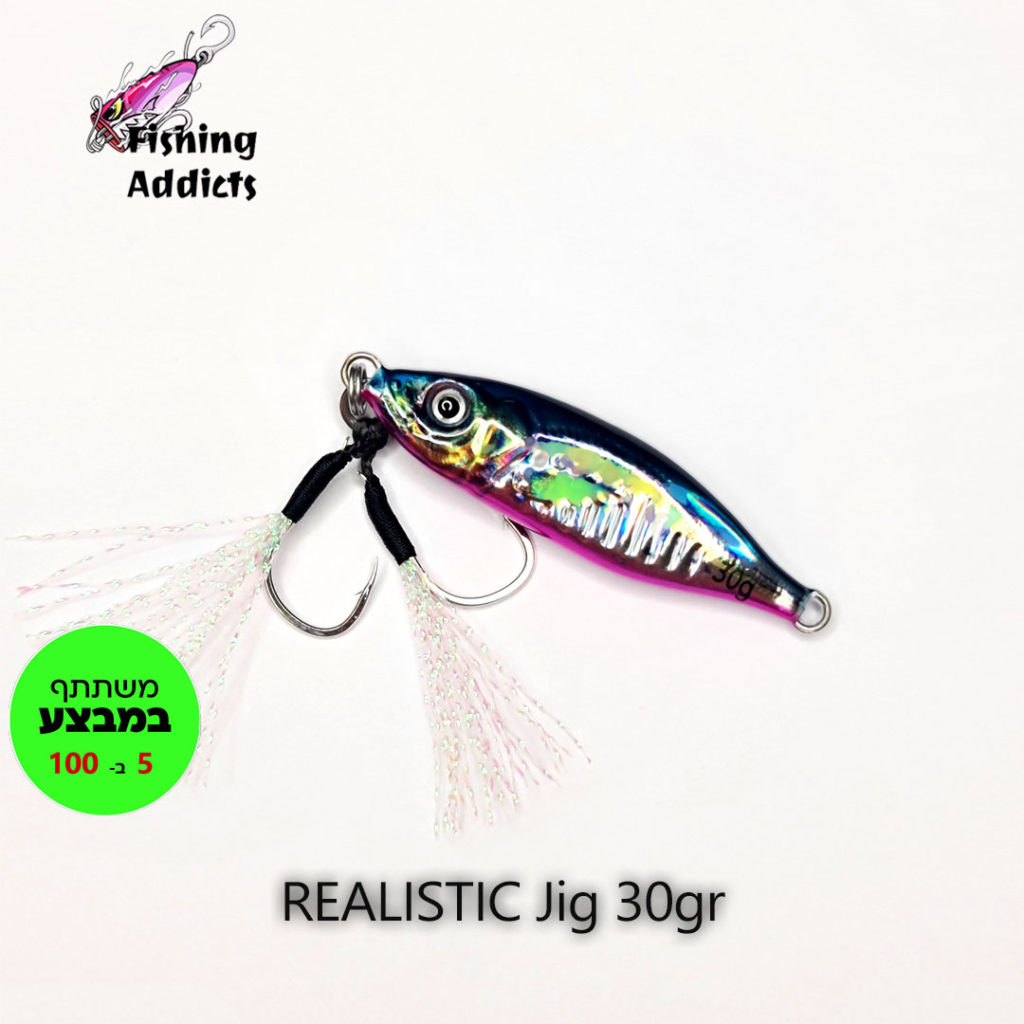 REALISTIC Jig 30gr - fishing addicts