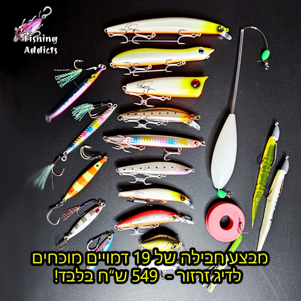 ארכיון פלמידות - fishing addicts